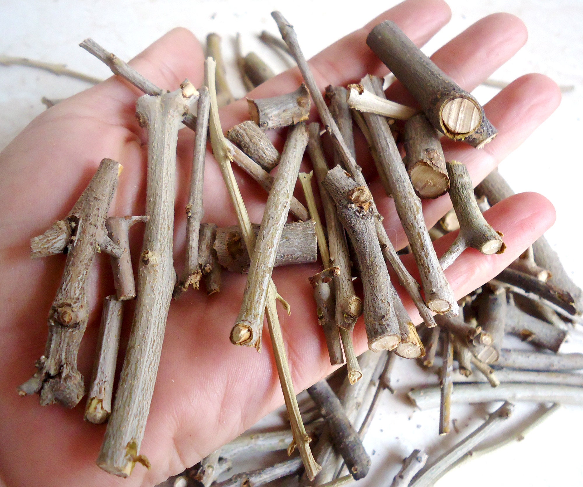 Craft Stick Pieces 100 Pcs Olive Wood Twig Pieces Bulk - Etsy