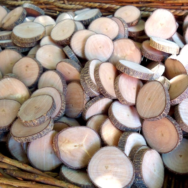 Shop Wood Slices - Etsy