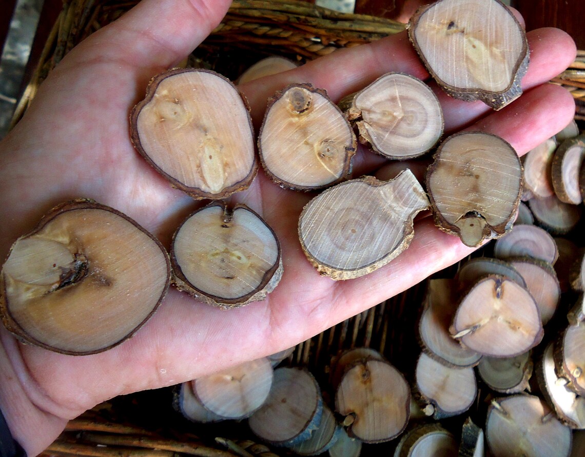 Wood Slices for Crafts Lot 10/20 Pieces Tree Branch Slices - Etsy