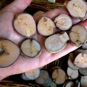 Wood Slices for Crafts, Lot 10/20 Pieces, Tree Branch Slices With Knots ...