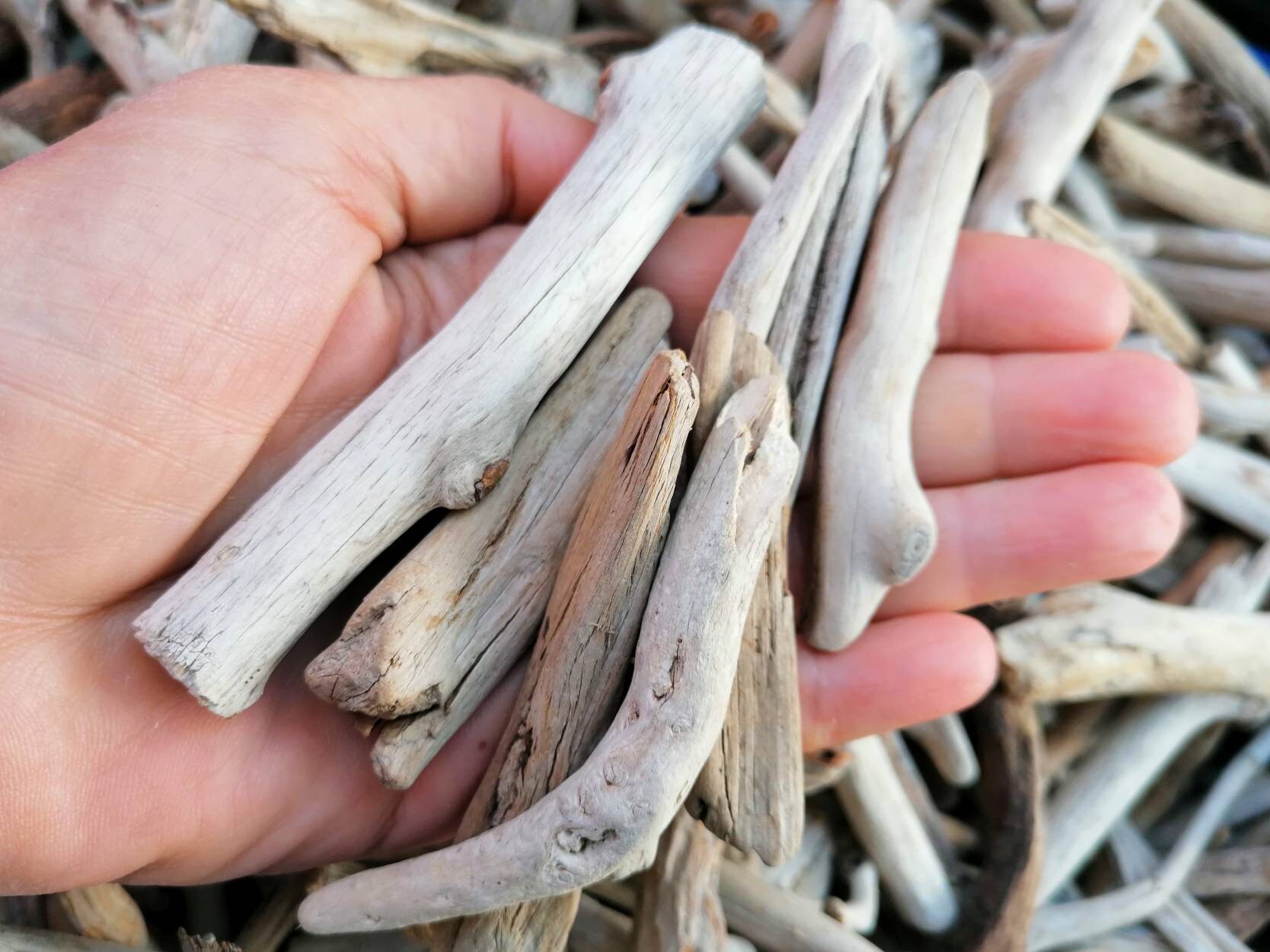 Small Driftwood for Crafts 80 Pcs Driftwood Pieces Bulk - Etsy