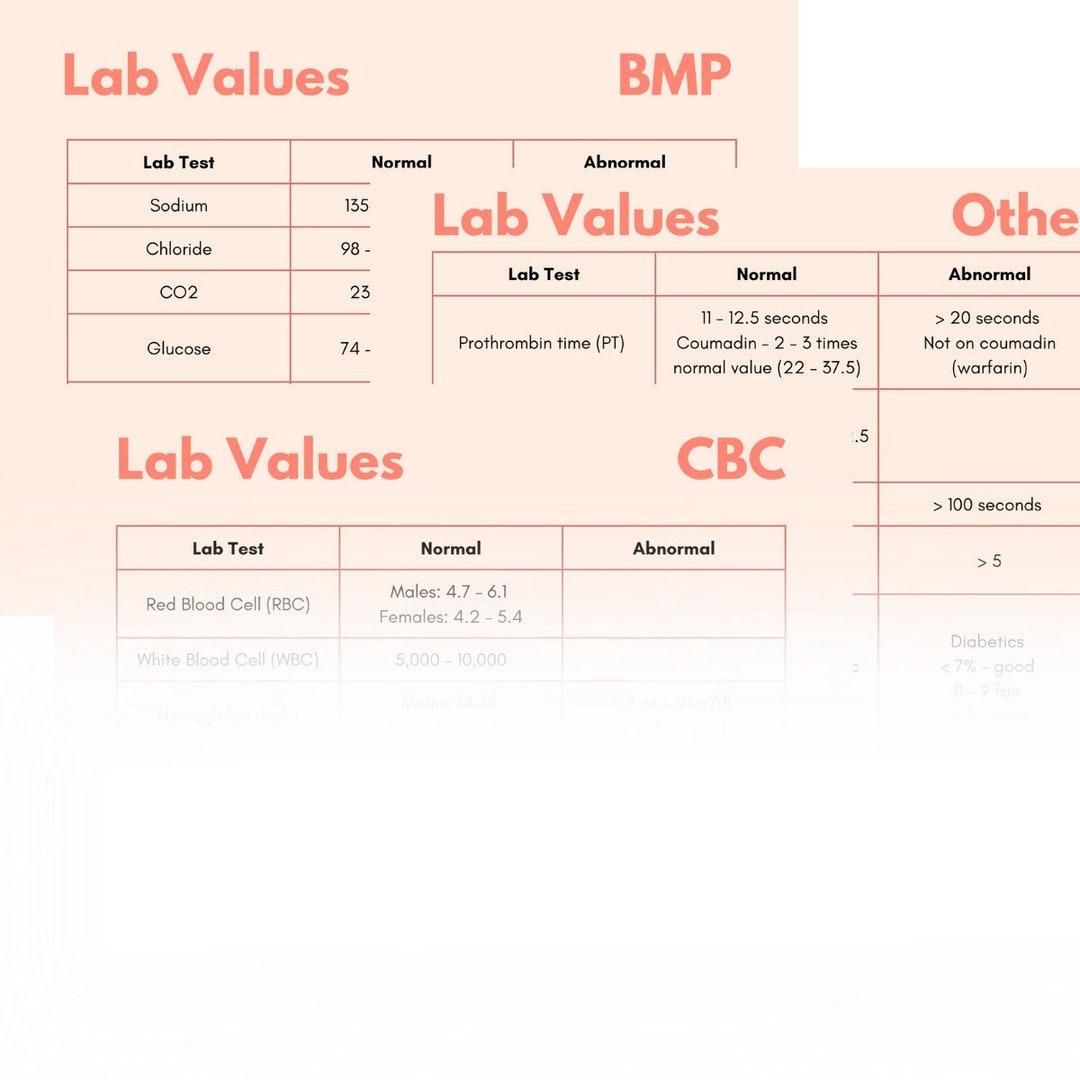 Lab Values - Nursing School - Digital Download - PDF - Etsy