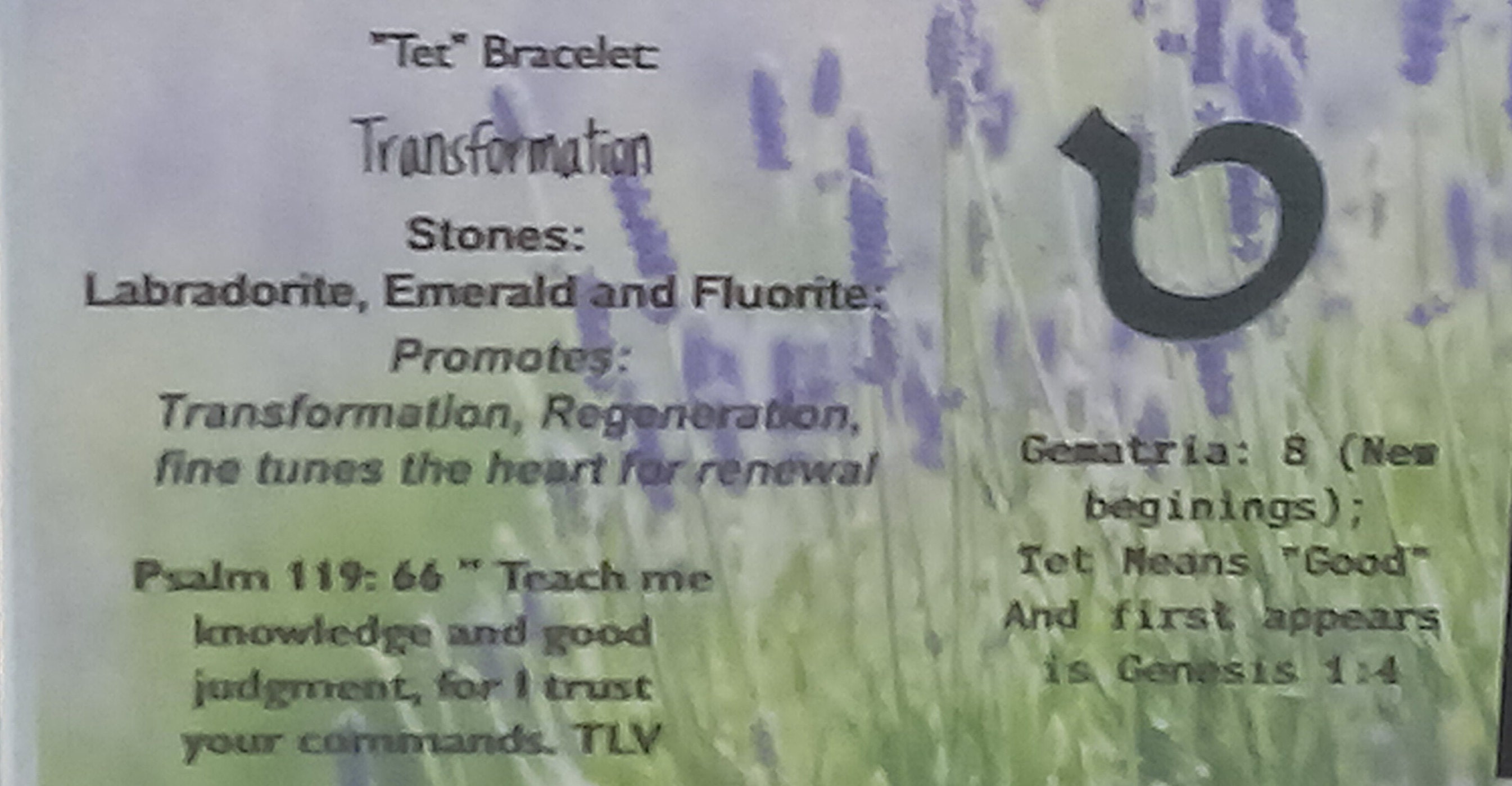 Transformation: Tet Hebrew Letter Bracelet; Gemstones- Labordite ...
