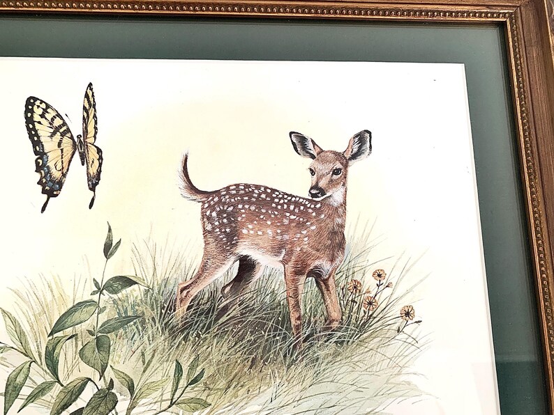Vintage Deer Print | Copper Gilt Frame, Rustic Woodland Nursery Art ...