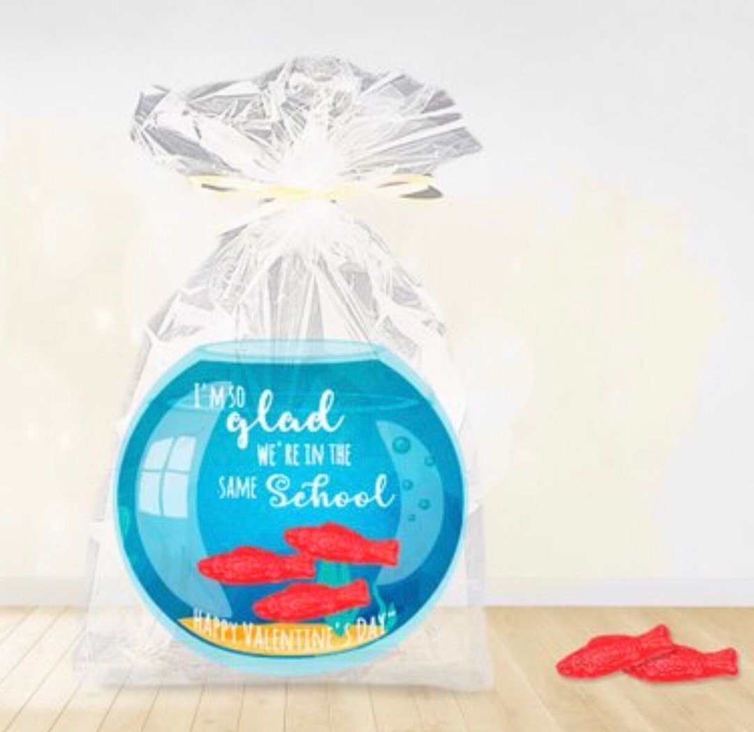 Valentines Day Gift, Back to School Gift, First Day of School, Fish ...