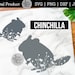 Floral Chinchilla SVG DXF PNG Jpeg, Chinchilla With Flowers Svg ...
