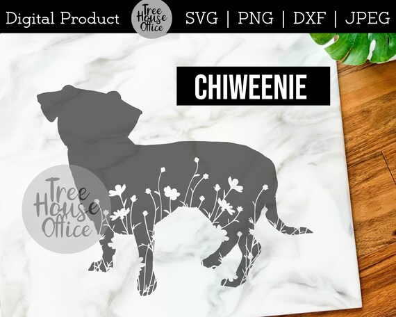 Chiweenie SVG DXF PNG jpeg Floral Chiweenie Mandala | Etsy