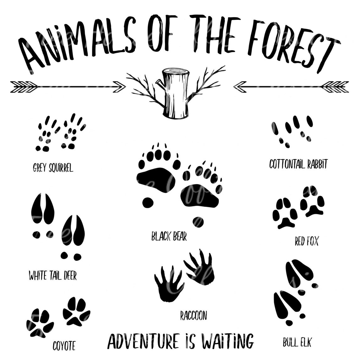 PRINTABLE Animals of the Forest PDF/PNG Nursery Decor Wild | Etsy