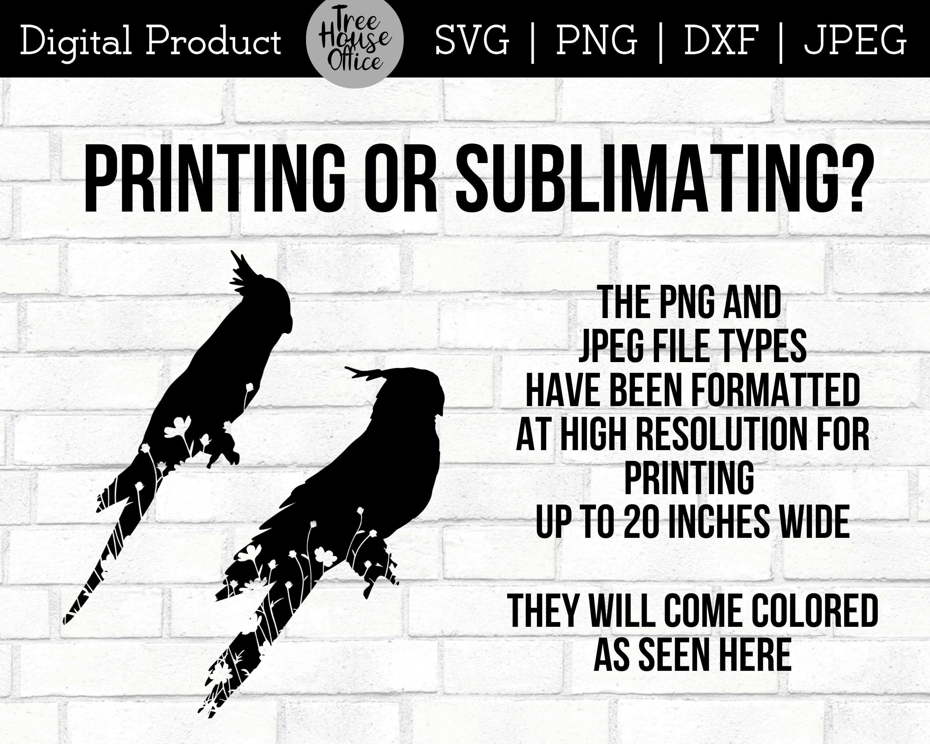 Parakeet SVG Floral Parakeet Bird SVG Parakeet Bird With - Etsy Australia