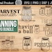 Canning SVG Bundle Grab Your Balls It's Canning Season - Etsy