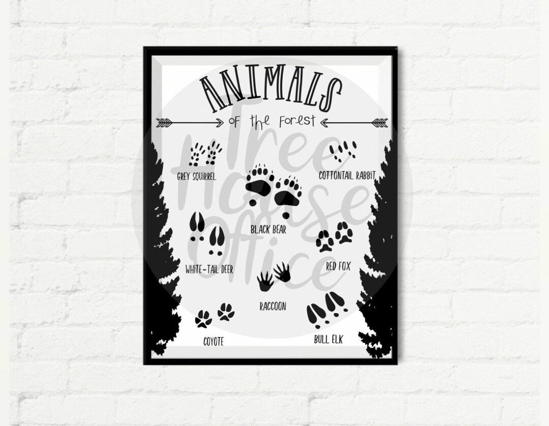 PRINTABLE Animals of the Forest PDF/PNG | Woodland Nursery Print ...