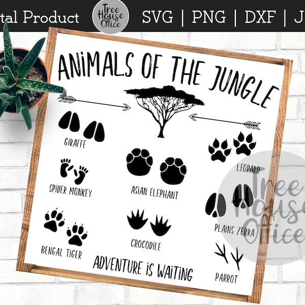 Jungle Animals Svg - Etsy