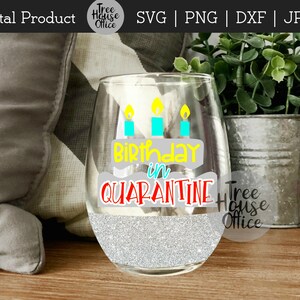 Quarantine Birthday SVG, JPEG, PNG, Dxf, Birthday Social Distancing Svg ...