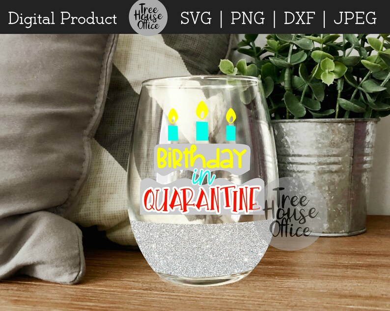 Quarantine Birthday SVG JPEG PNG Dxf Birthday Social - Etsy