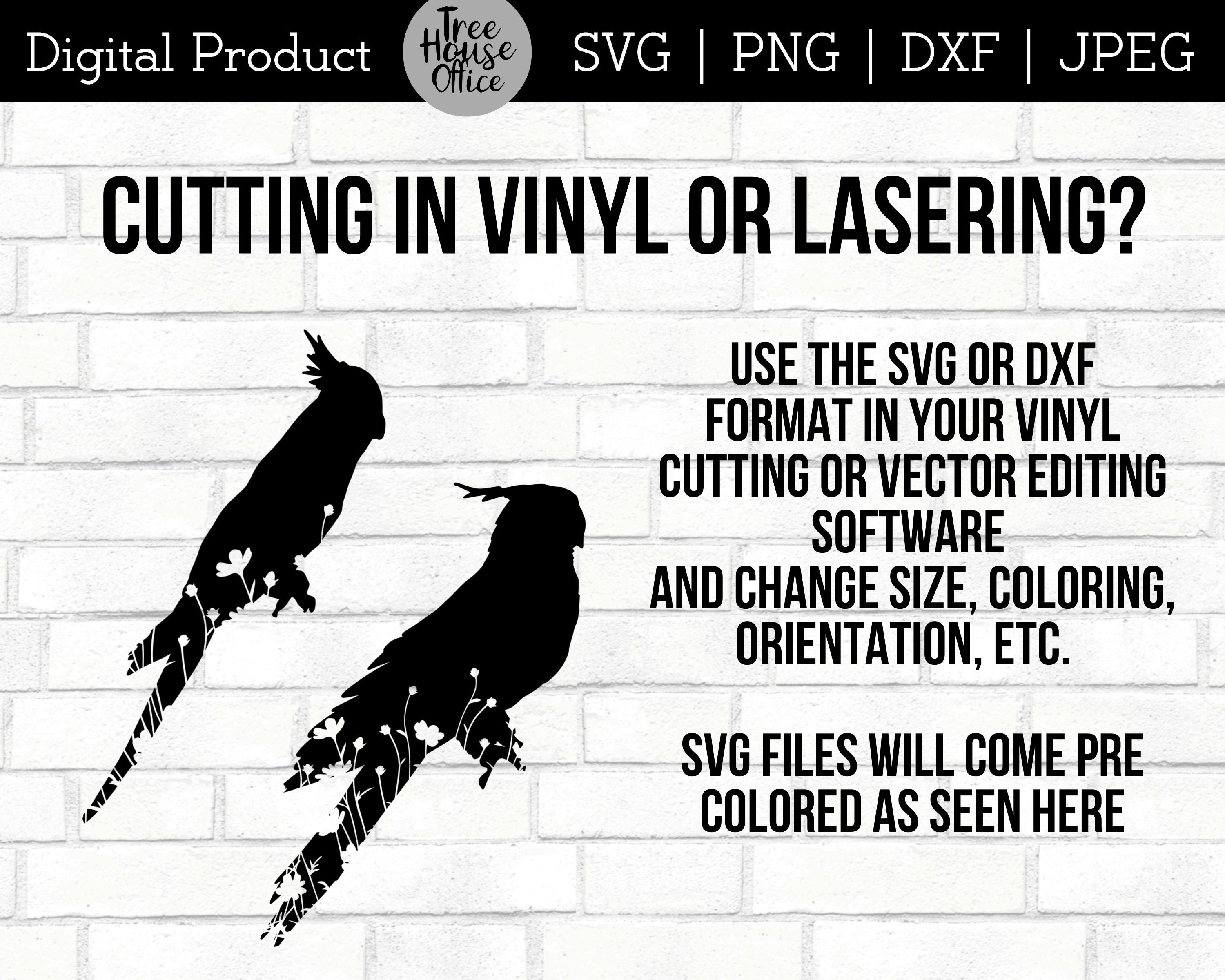 Parakeet SVG Floral Parakeet Bird SVG Parakeet Bird With - Etsy Australia