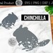 Floral Chinchilla SVG DXF PNG Jpeg, Chinchilla With Flowers Svg ...
