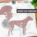Rhodesian Ridgeback SVG, DXF PNG Jpeg, Floral Ridgeback Mandala ...