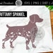 Schipperke SVG DXF PNG Jpeg, Floral Schipperke Mandala Zentangle Svg ...