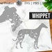 Whippet SVG, DXF PNG Jpeg, Floral Whippet Mandala Zentangle Svg, Dog ...