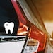 Tooth With Bow Vinyl Decal, Dental Profession Car Window Sticker ...