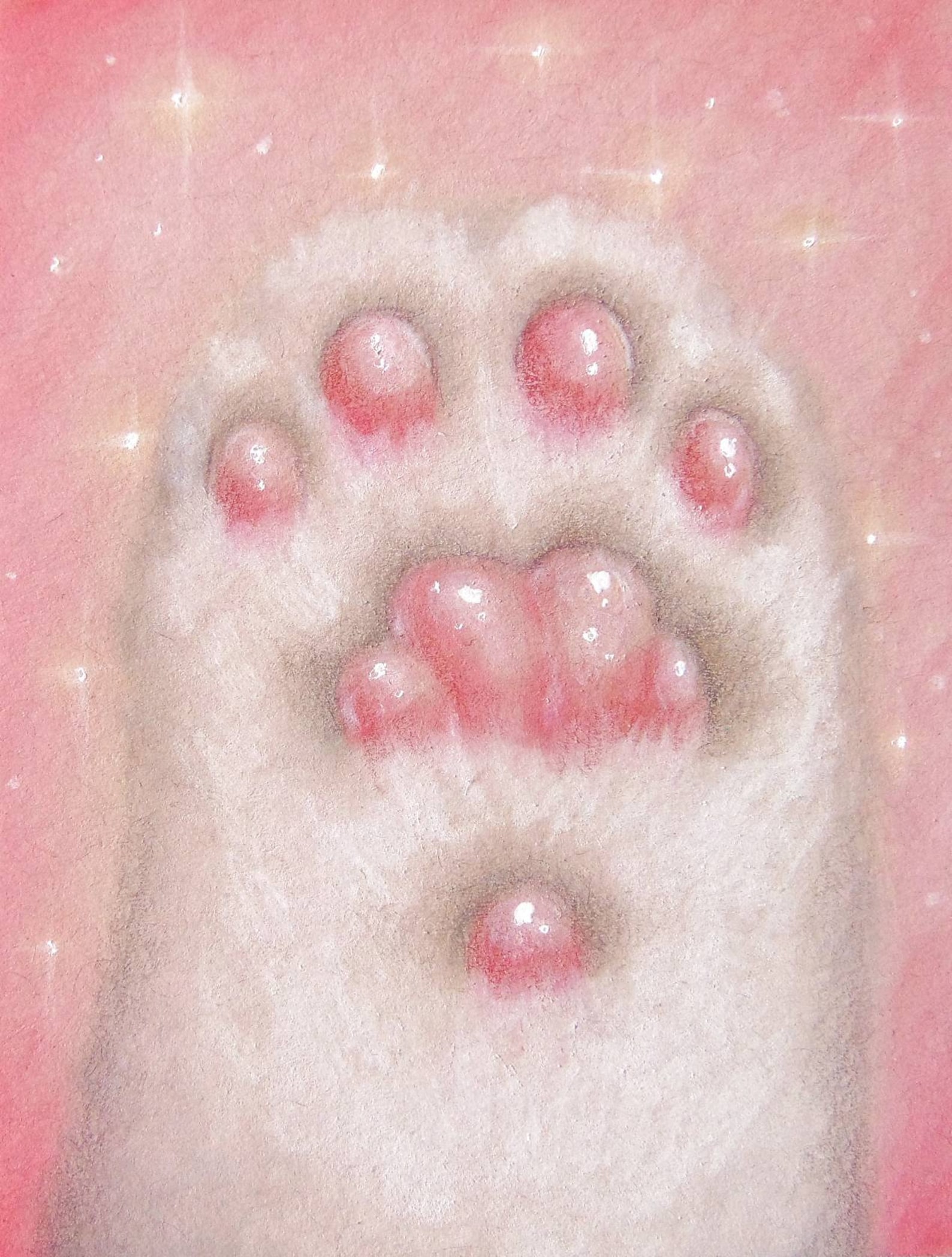 Cat's Paw Print - Etsy