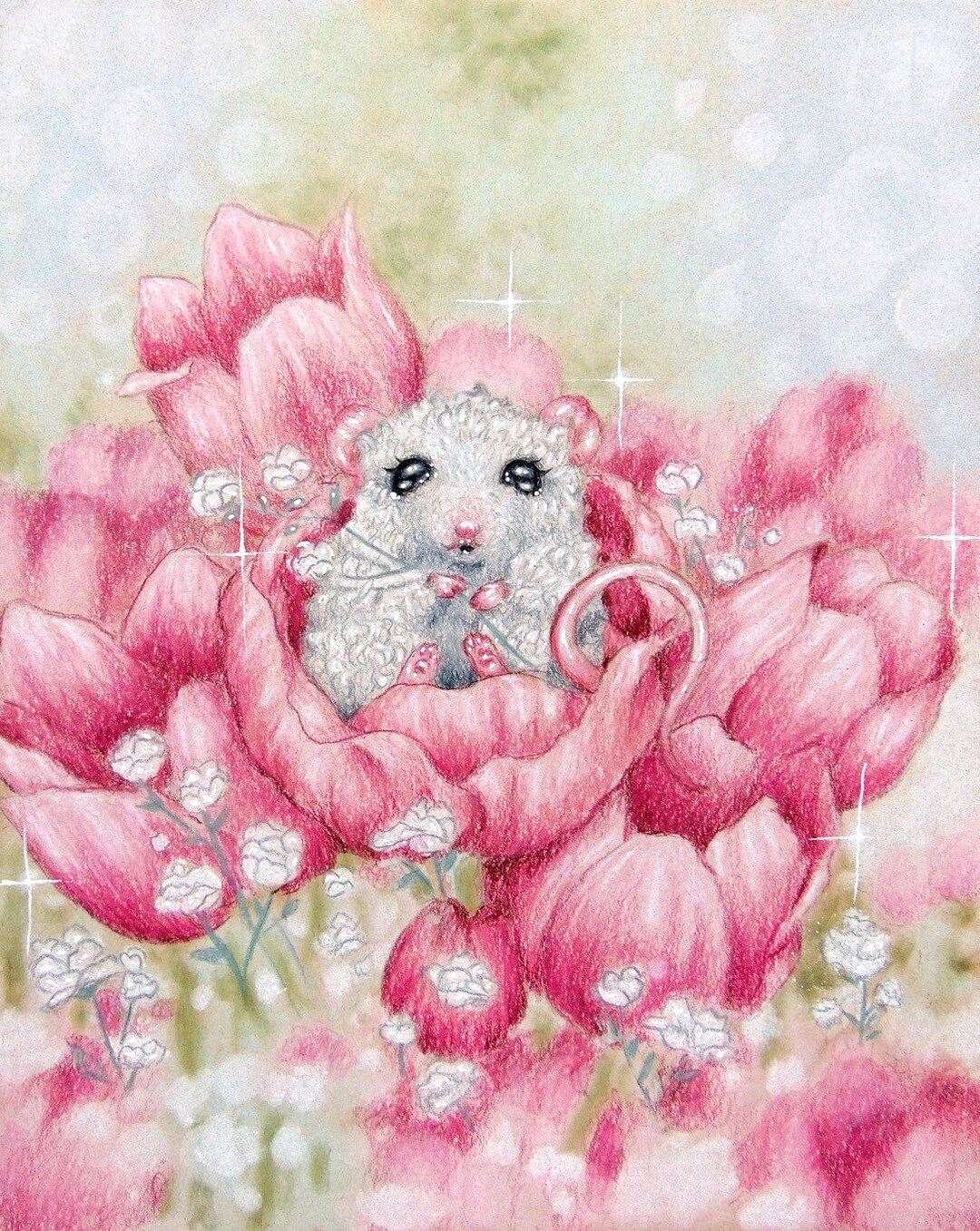 Baby’s Breath - Print - Etsy