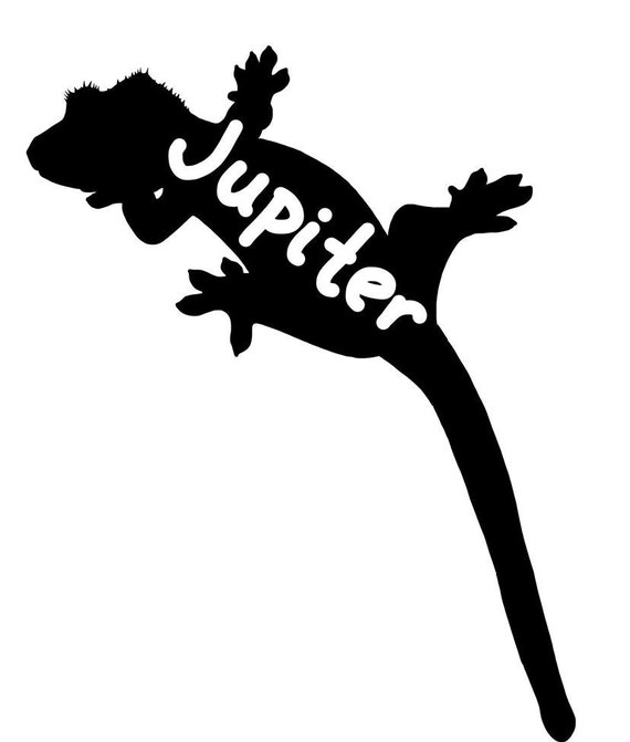 Crested Gecko Decals - Etsy
