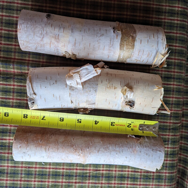White Birch Logs - Etsy