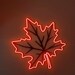 LED NEON Wall Art- Maple Leaf - Etsy