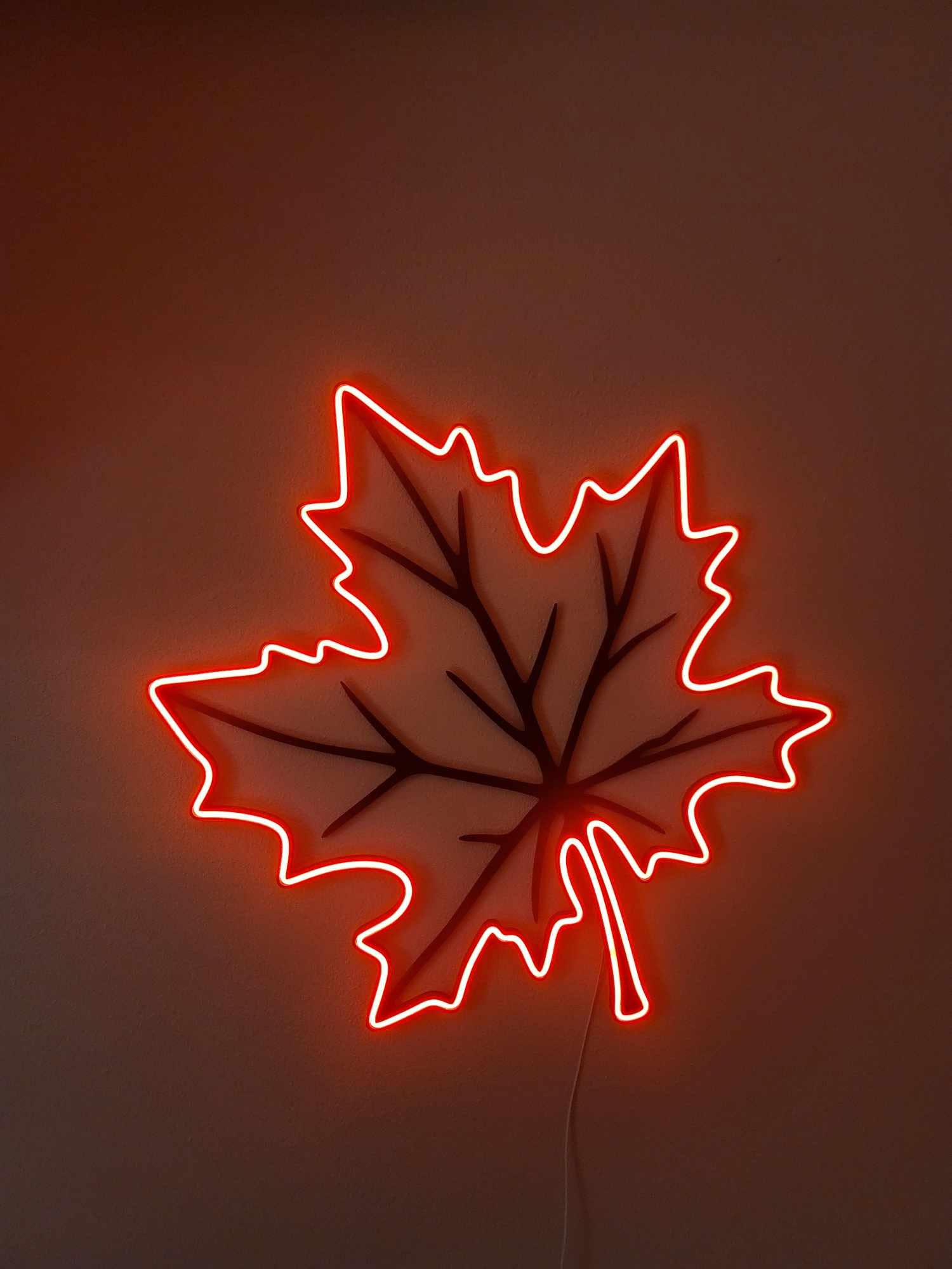 LED NEON Wall Art- Maple Leaf - Etsy