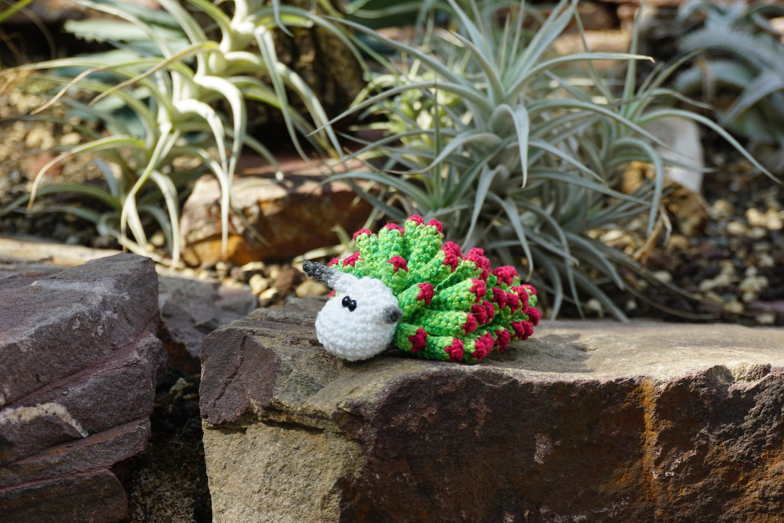 Costasiella Nudibranch Leaf Sheep Sea Slug Crochet Pattern - Etsy