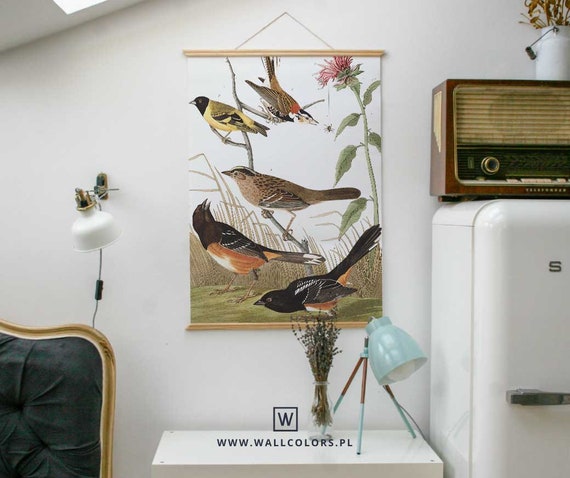 Spring birds poster flower and colorful birds vintage | Etsy