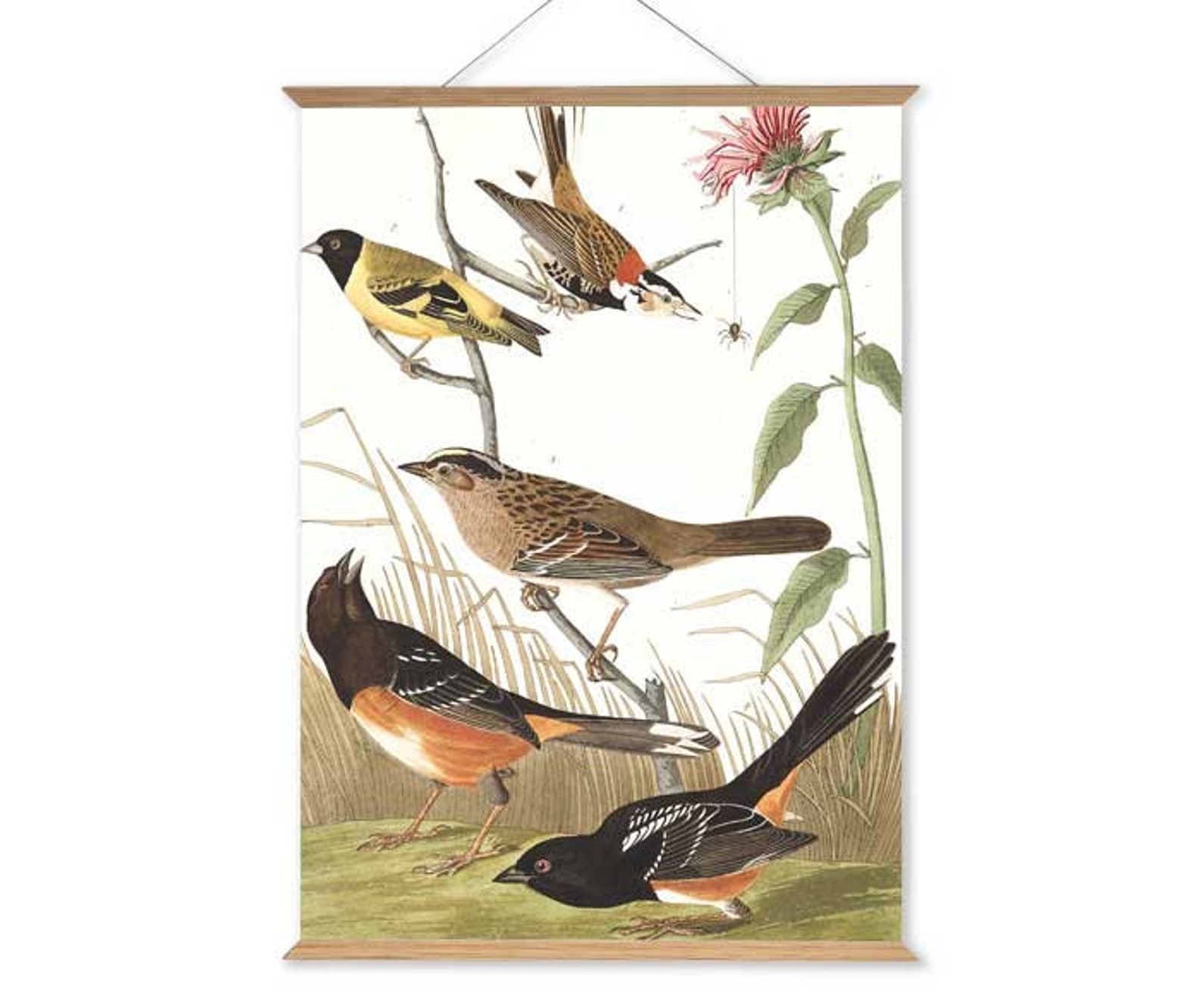 Spring birds poster flower and colorful birds vintage | Etsy