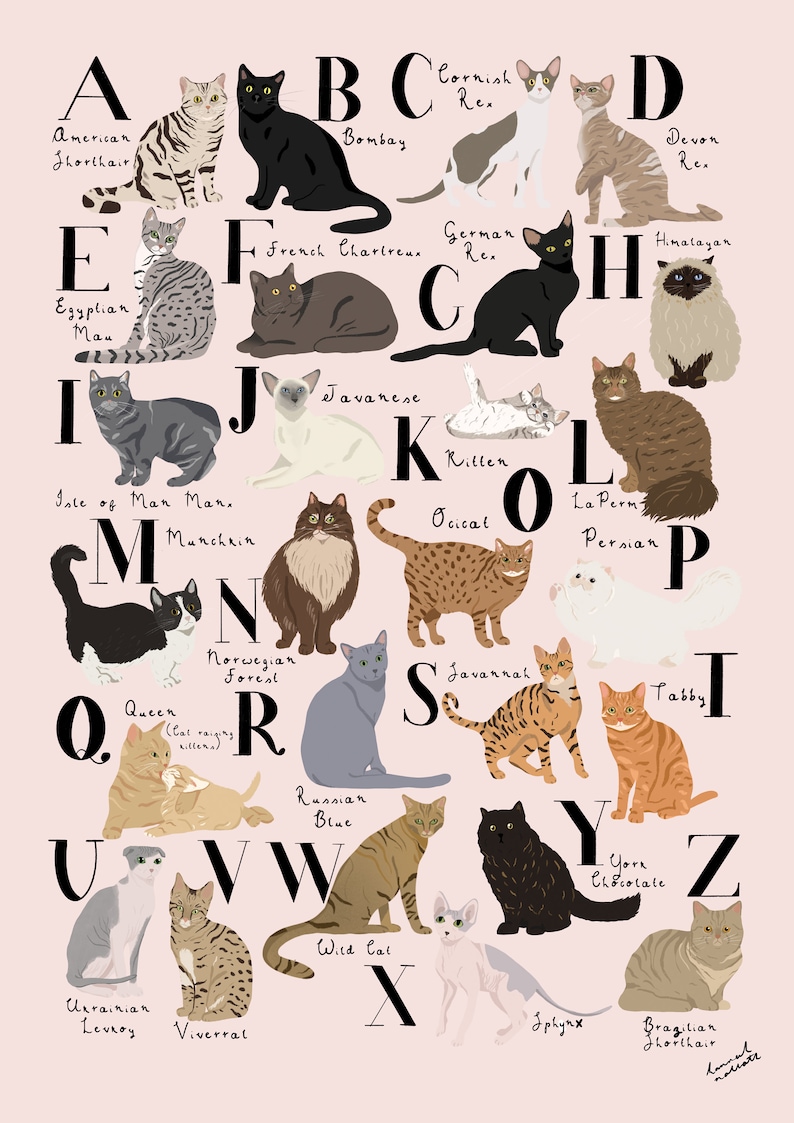 Cat Alphabet Print A-Z of Cats Illustrated Cat Breeds Cat | Etsy