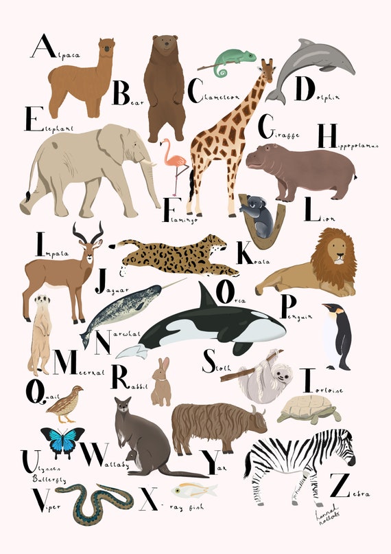 African Animals A Z