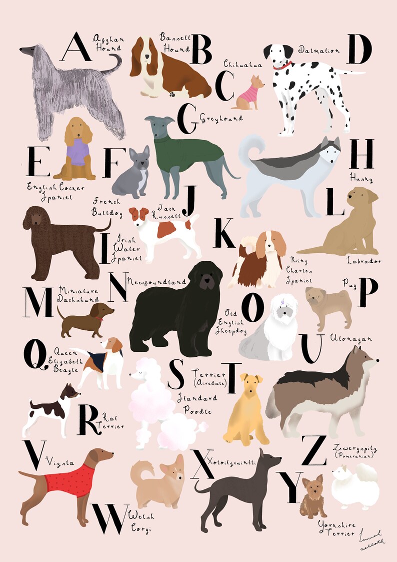 Dog Alphabet Print A-Z of Dogs Illustrated Dog Breeds Dog | Etsy UK