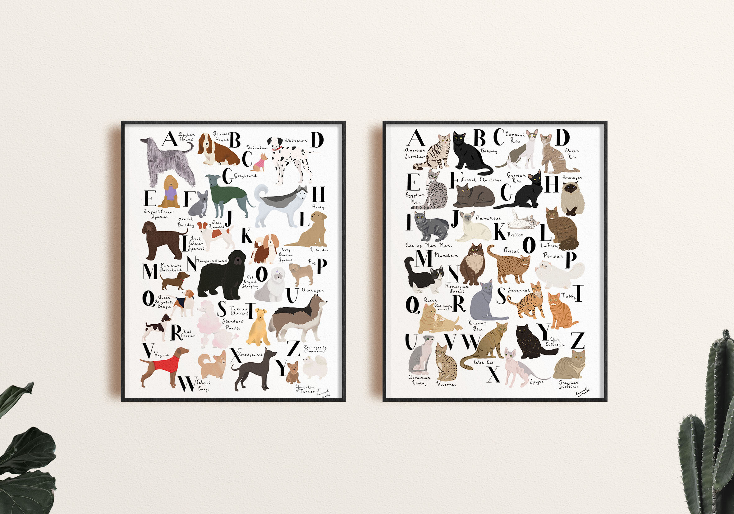 Cat Alphabet Print A-Z of Cats Illustrated Cat Breeds Cat | Etsy