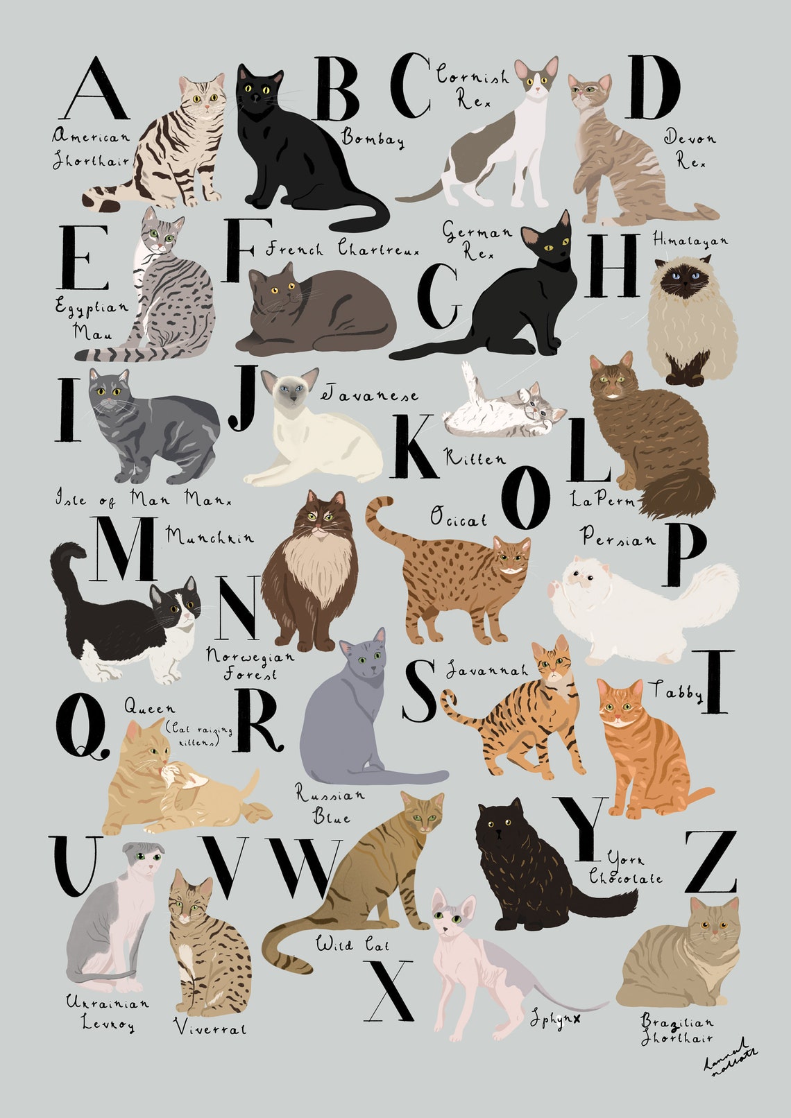 Set of 2 A3 Cat and Dog A-Z Alphabet Prints Dog Alphabet and | Etsy