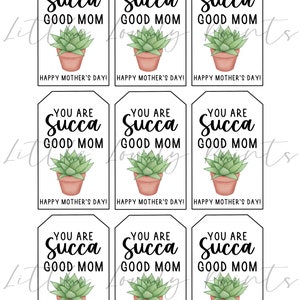 Mother's Day Succulent Gift Tags, "you Are SUCCA Good Mom", 9 Gift Tags ...