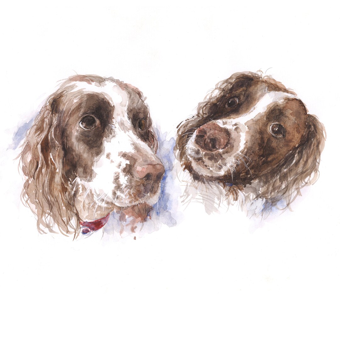 Custom Original Watercolour Springer Portraits-hand Painted Watercolour ...