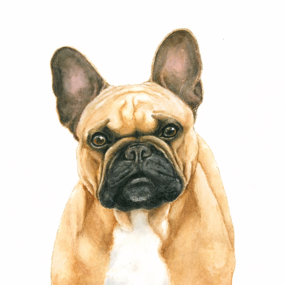 Custom Original Watercolour French Bulldog Portraits-hand Painted ...