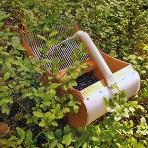 Engraved Wooden Berry Picker | Personalized Garden Tool | Blueberry ...