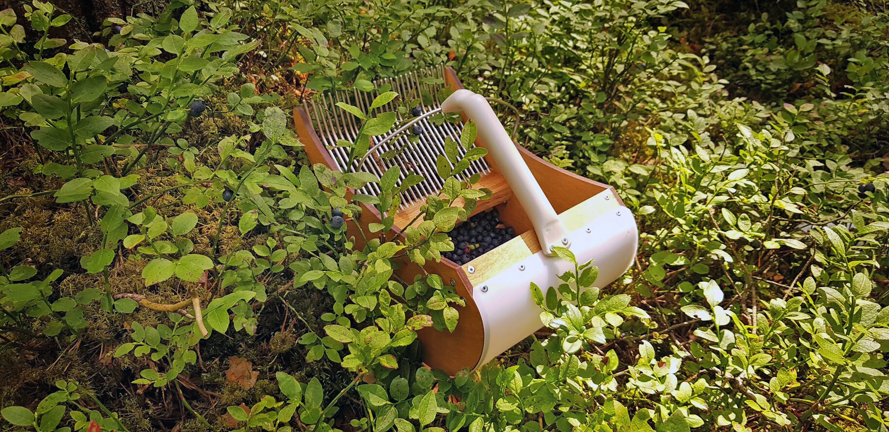 Engraved Wooden Berry Picker | Personalized Garden Tool | Blueberry ...