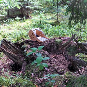 Engraved Wooden Berry Picker | Personalized Garden Tool | Blueberry ...