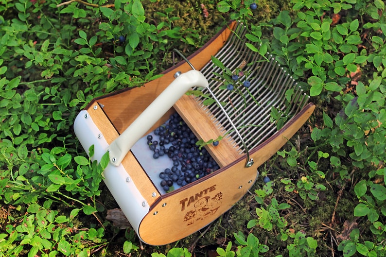 Engraved Wooden Berry Picker | Personalized Garden Tool | Blueberry ...