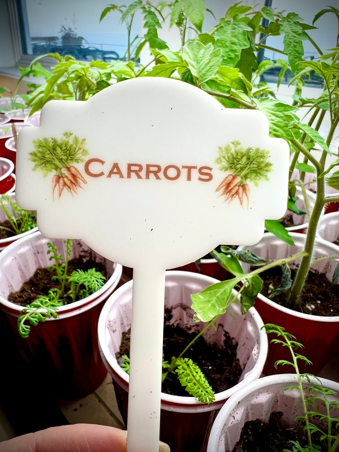 Sublimation Garden Plant Marker Stakes Craft Blanks White Acrylic for ...