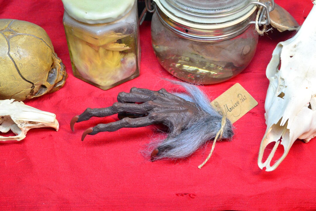 Creepy Monkey Paw Replica Model Resin Sculpture grey Mohair / Fur ...