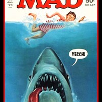 Mad Magazine - Etsy