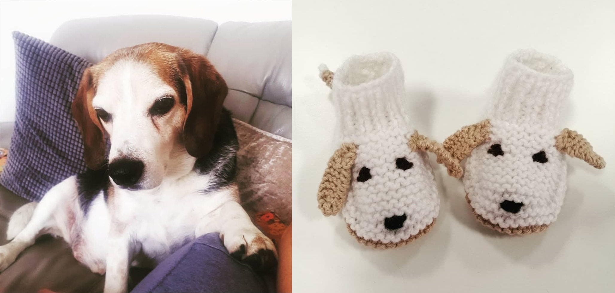 Hand Knitted Puppy Booties - Etsy