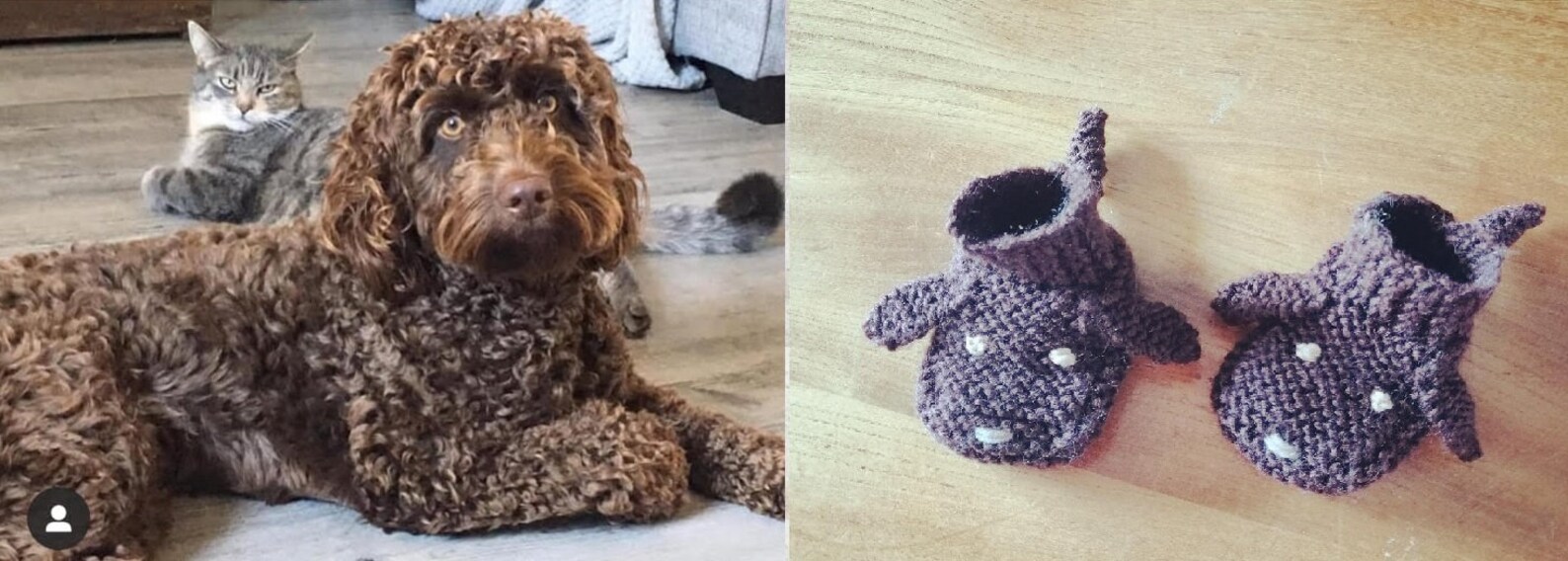 Hand Knitted Puppy Booties - Etsy